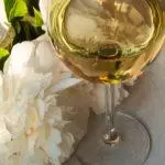 Wine from peonies at home: Simple recipe for cooking and storage 5375_2