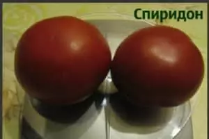 Hunhu uye tsananguro yemusha weiyo Spiridon Tomato