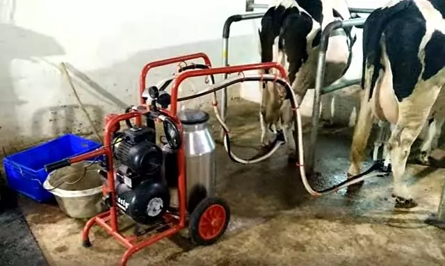 petani mesin milking