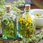 Wine on herbs: what is the name of the tincture and 3 simple preparation recipe 5419_10