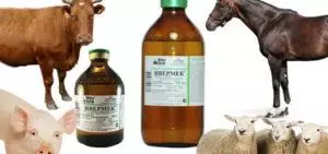 Arahan untuk penggunaan Ivermerek untuk haiwan dan dos untuk CRS, analog