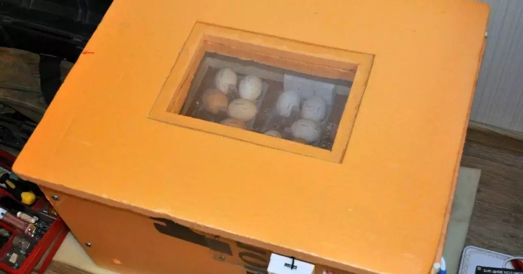 Incubator bakeng sa Yaitz