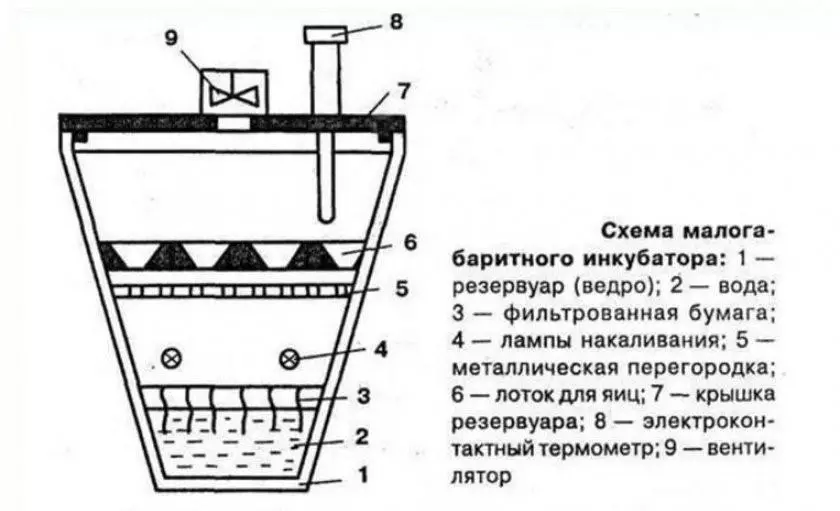 Incubator ji bo yaitz