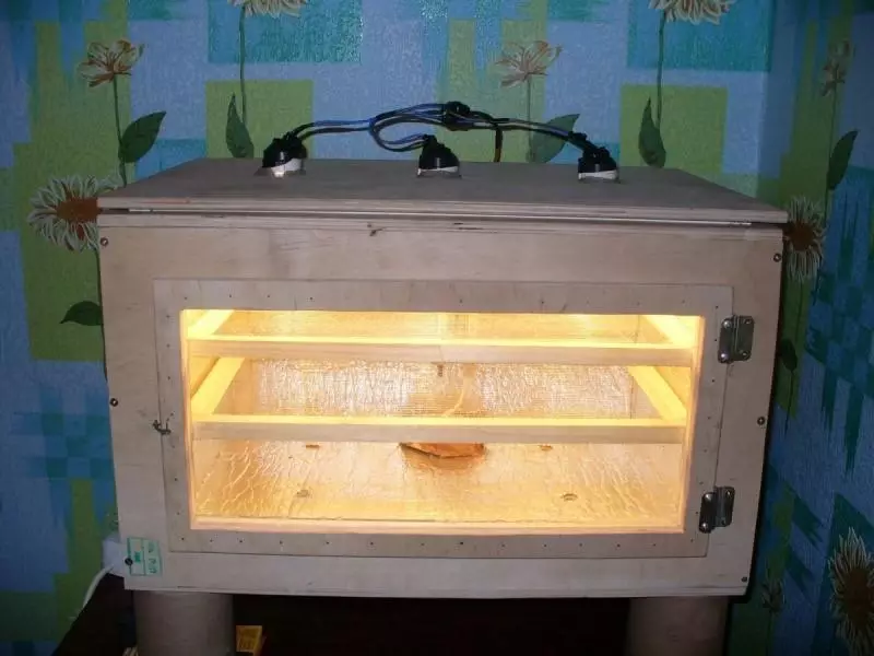 Incubator bakeng sa Yaitz