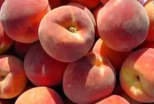 Peach Redhevenin kuvaus ja ominaisuudet, jalostuslajikkeiden historia ja viljelyssäännöt