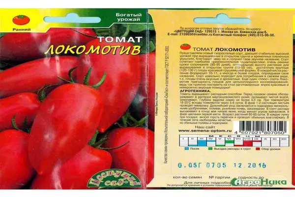 характеристика томатів