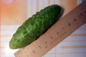 Priskribo de la varo de Cucumber Dragun, lia karakterizaĵo kaj rendimento