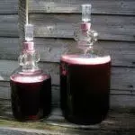 Miks vein on vahustamine fermentatsioonis: põhjused ja 4 võimalust probleemi lahendamiseks 5481_8