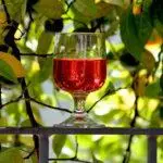 Barbarisaからのワイン：ホームで調理するための3つのシンプルなレシピ 5525_3