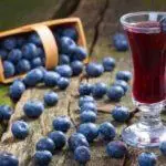 Blueberry Wine: 4 ienfâldige resept foar koken thús 5530_12