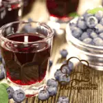 Blueberry Wine: 4 simpla recepto por kuiri hejme 5530_2