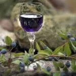 蓝莓葡萄酒：4个在家烹饪的简单配方 5530_9