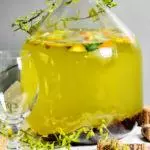 Iwayini elivela ku-birch juice: Izindlela zokupheka ezi-6 zokupheka ekhaya 5540_10