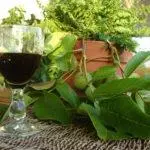 녹색 호두에서 와인 : 요리법 요리 및 보관 방법 5561_8