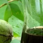 Wine from green walnuts: cooking recipes and how to store it 5561_9
