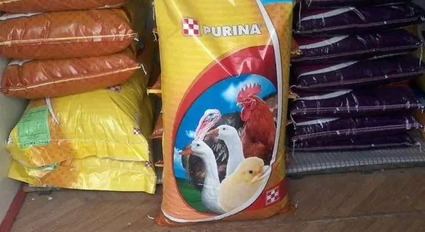 Hrană purina.