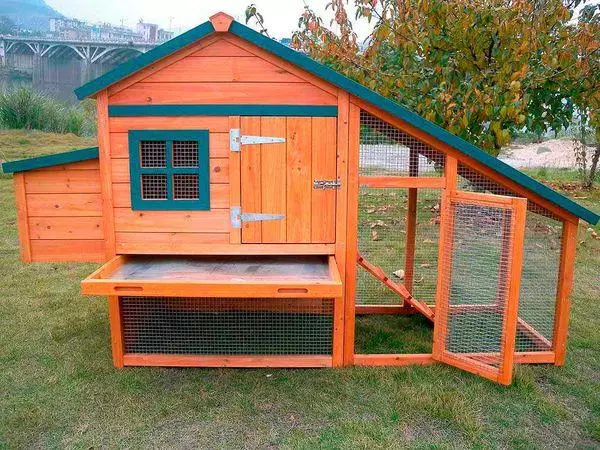 Chicken Coop nel cortile