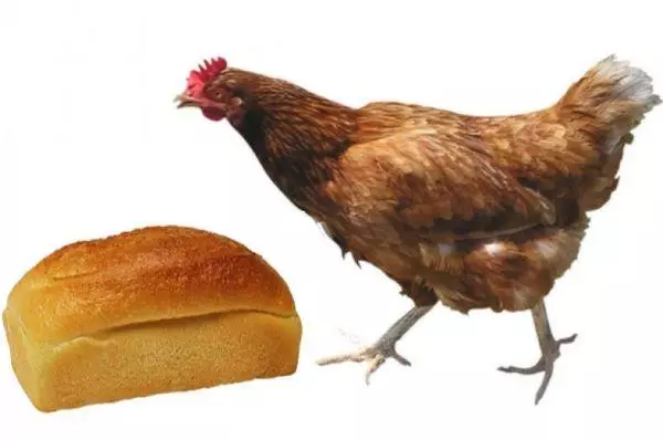 チキンとパン