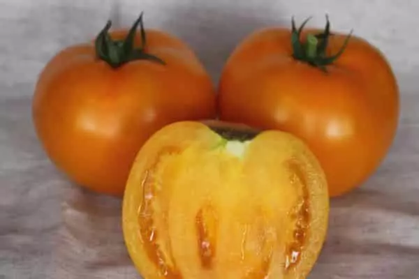 Tomatos melyn