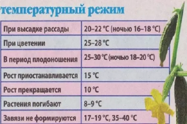 Jordtemperatur