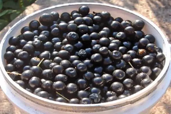 Berries Cheryukha