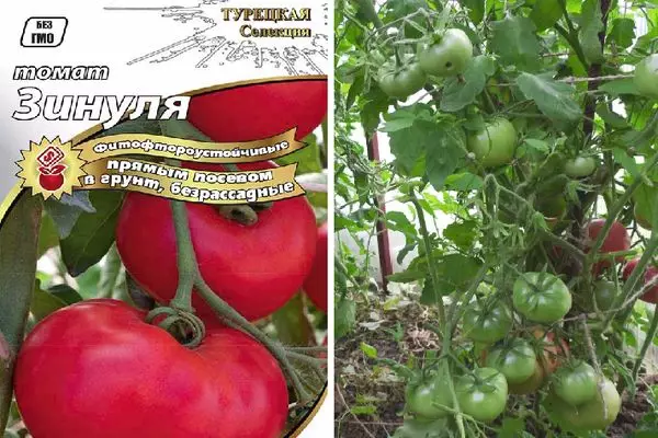Tomati seemned