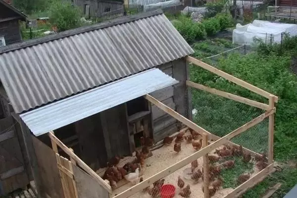 Poultry house sa bakuran
