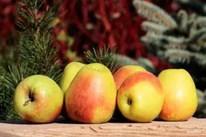 Kuvaus omenan puutavaran Rossoshansky herkullinen (hämmästyttävä), viljely ja hoito