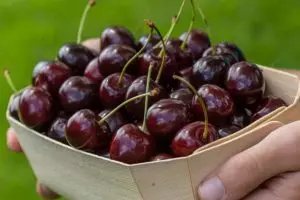 Paghulagway sa Vishnitsyn Cherry Cherry Charry, ani nga mga kinaiya ug resistensya sa katugnaw