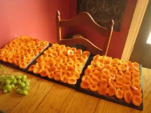 Cara menyimpan aprikot kering di rumah