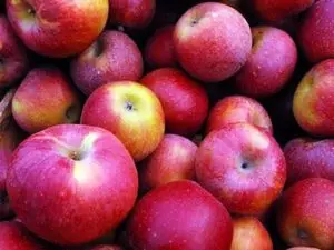 Beskrivning och egenskaper hos äpplen Grade Makintosh, funktioner för plantering och vård