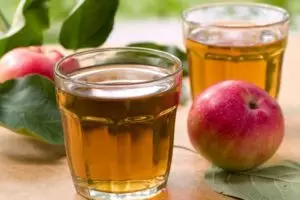 Lihtne retseptid õunamahla toiduvalmistamiseks kodus talveks mahlapaberi kaudu