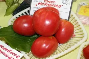 Karakteristisk og beskrivelse af forskellen af ​​tomat Nastya, dets udbytte