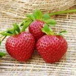 I-Strawberry Evi-2: Inkcazo yeentlobo ngeentlobo kunye neempawu, ukufika nokukhula 5846_6