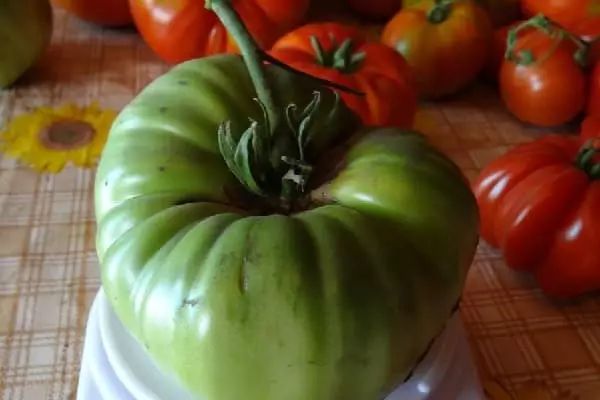 Ndị mmeri tomato