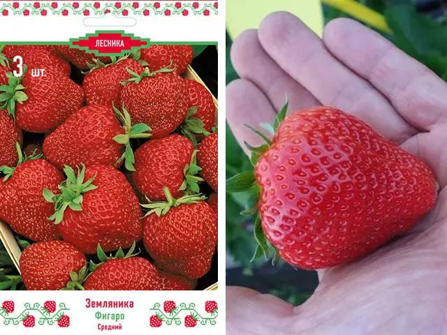Strawberry Figaro.