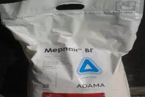 Instrucións de uso e mecanismo de acción do funxicida do Merpan, a taxa de consumo
