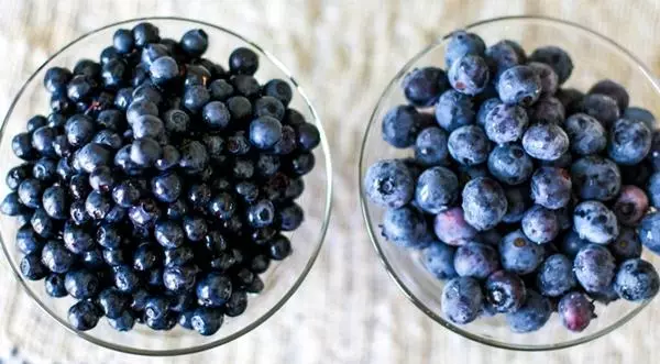 在盘子里的蓝莓