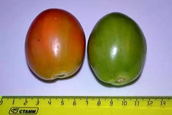 Mezinahiya Tomato Matador