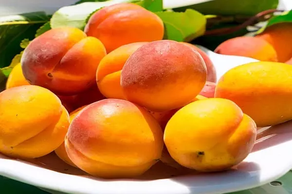 წვნიანი ხილი