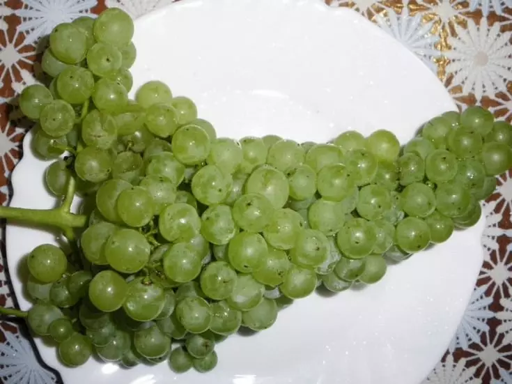 Grapes Laura