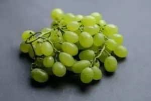 Description and characteristics, resistance to diseases of Daria grapes and growing rules