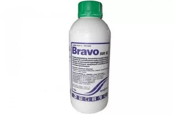 Fungicide Bravo.