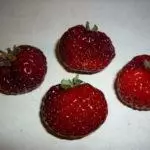 Strawberry Ruby: descrición da variedade e características, aterrizaje e crecemento 5982_8