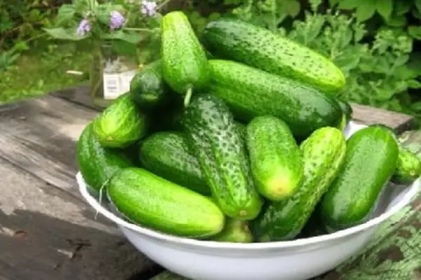 Kucumbers tat-Torsch