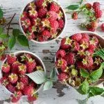 Raspberries caramel: piav qhia txog kev kho cov berries, tsaws thiab kev saib xyuas 6016_7
