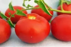 Fir'avn pomidorining tavsifi va tavsifi, ijobiy fazilatlar