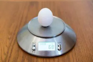 How many grams weigh one chicken egg and labeling