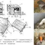 Arrangemang av rummet för njutning: storlekar och hur man gör ett fjäderfä med egna händer 6039_14