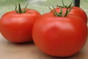 Skaaimerken en beskriuwing fan tomaat infinity tomaat